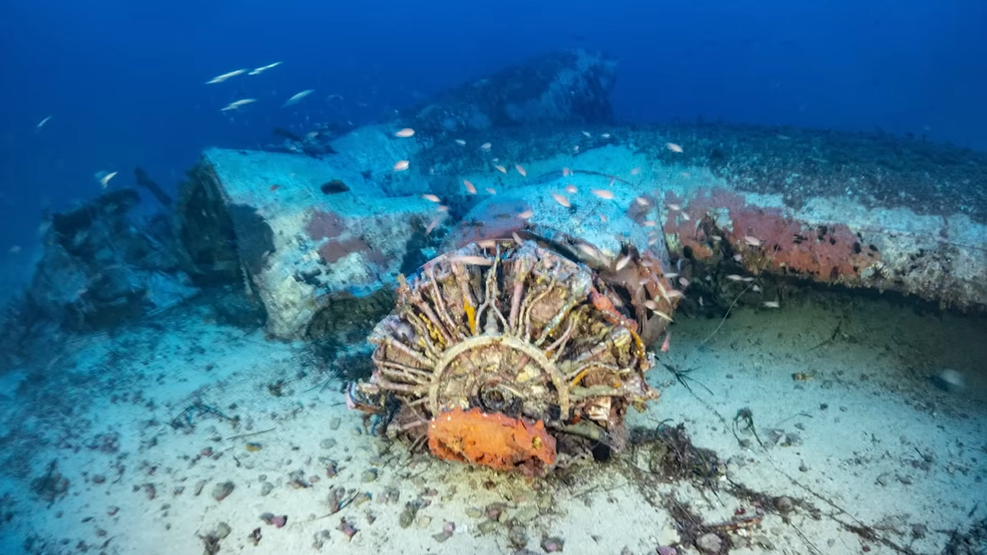 2,000 planes lost in the desert - no one talks about it