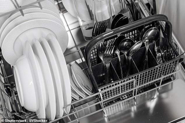 Should cutlery go up or down in the dishwasher? Scientists finally ...