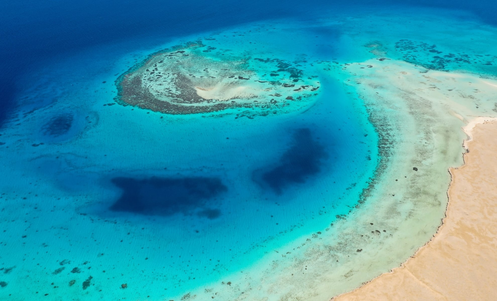 Scientists dived where Moses is said to have parted the Red Sea, and ...