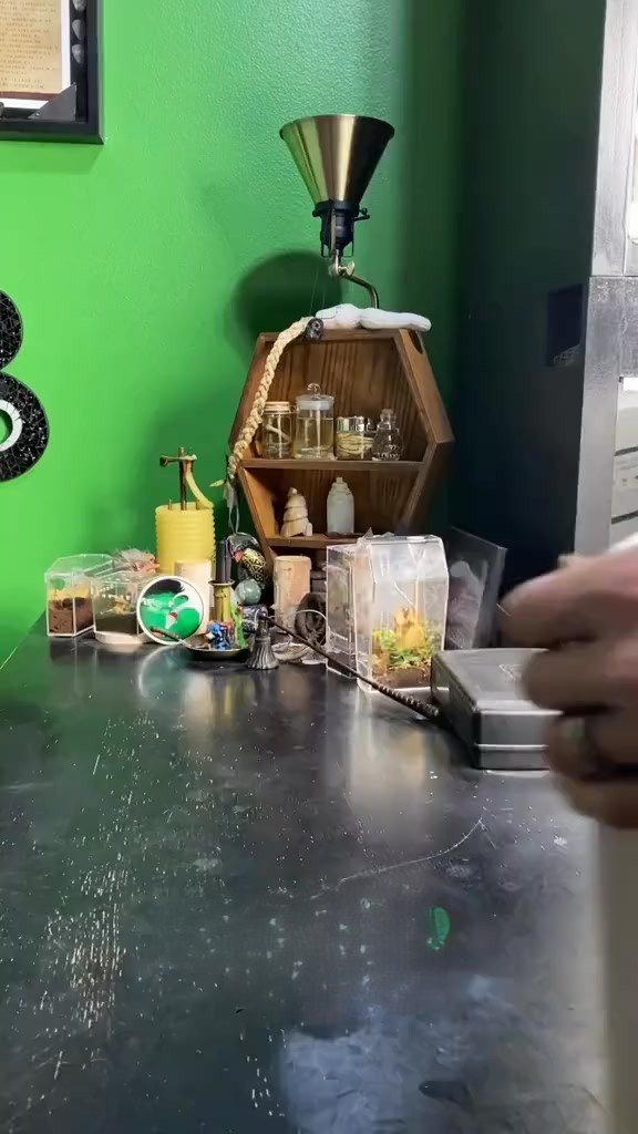 I just bought 25 new snakes!