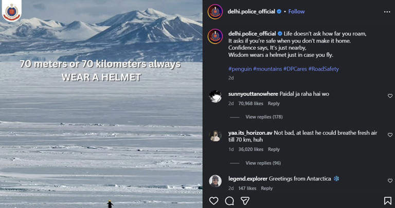 Have you seen the viral Nihilist Penguin video? Here's why the internet ...