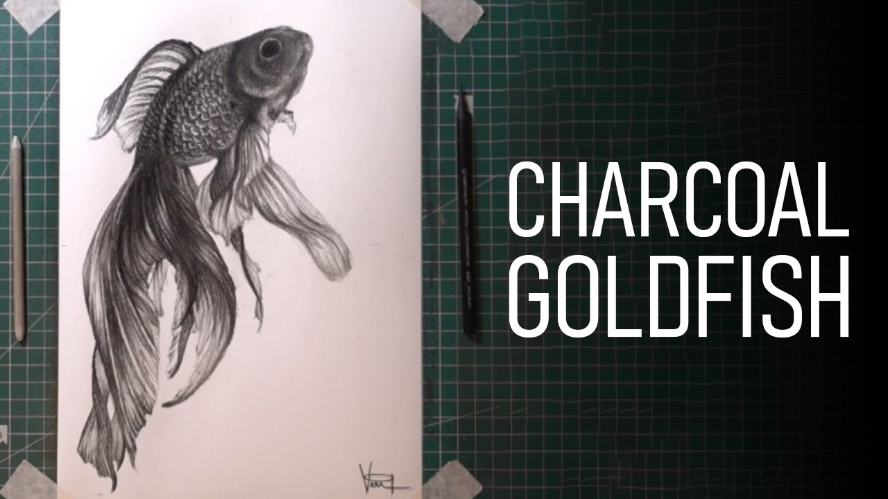 Charcoal drawing tutorial goldfish with soft blends and sharp edges