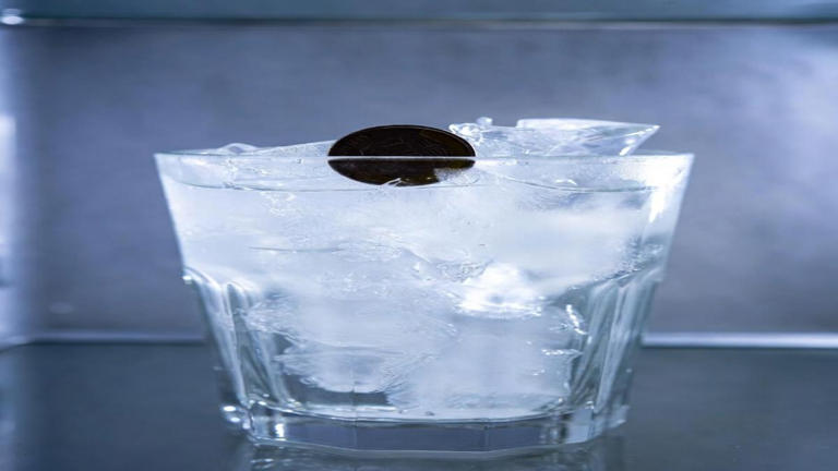 The simple quarter trick that can save your food during a winter power ...