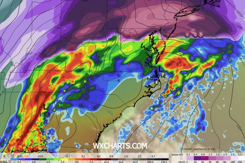 Weather chart turns horror flesh color as more than 2 inches of snow an ...