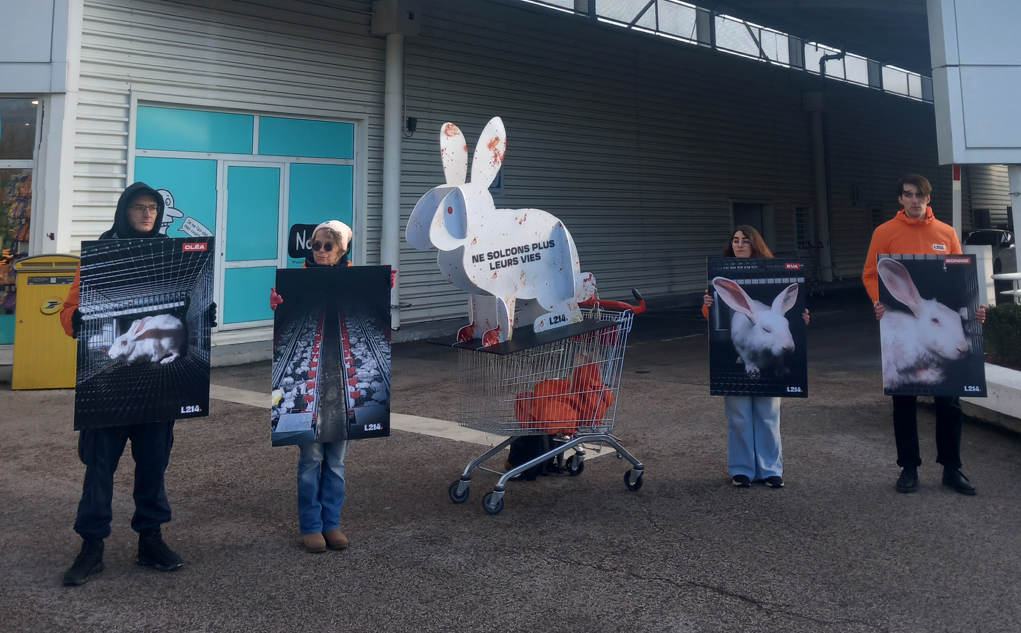 Des militants de L214 mobilisés devant le Carrefour de la Toison d’Or à ...