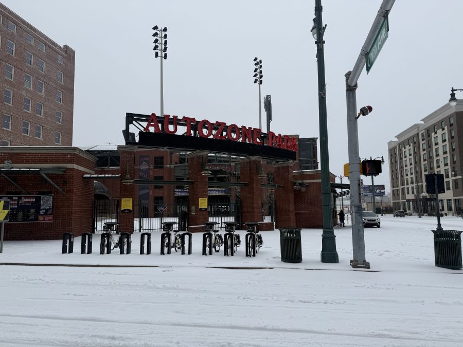 POV: Mid-South winter storm photos