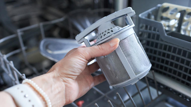 Yes, you're supposed to clean your dishwasher filter – here's how