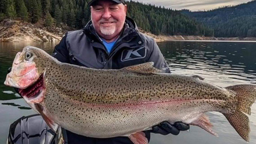 Idaho angler lands rainbow trout weighing over 20 pounds. Was that a ...