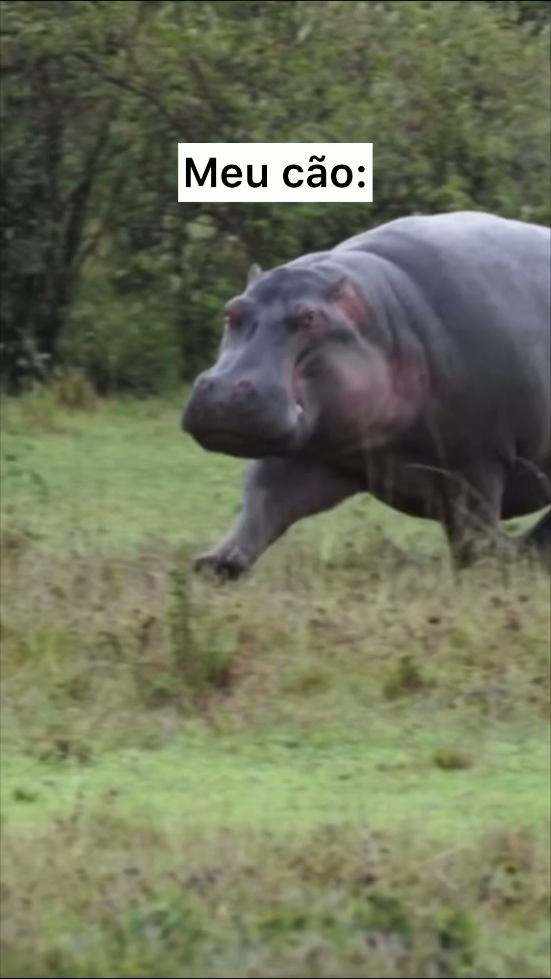 NADA PRA COMER NESSA CASA