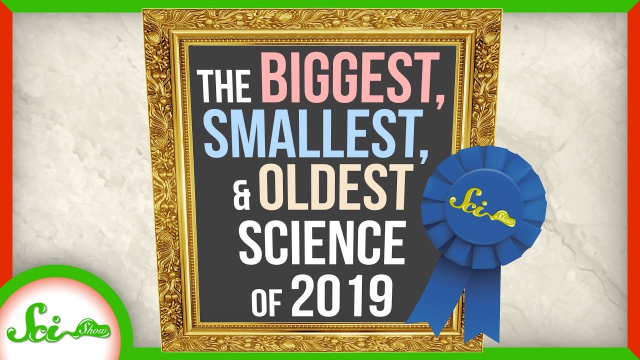 The tallest, smallest, and oldest science of 2019