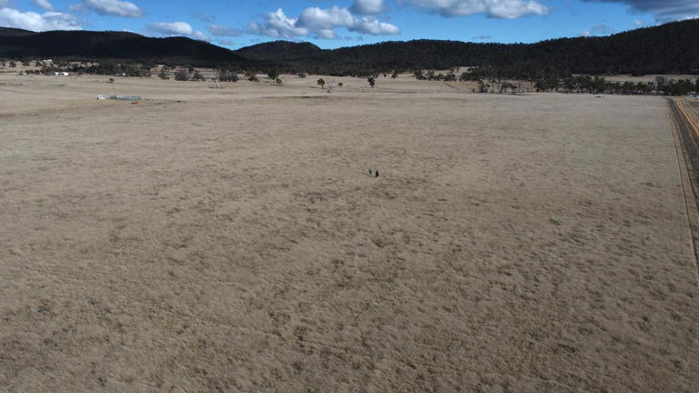 The century-long battle against weeds heads to space