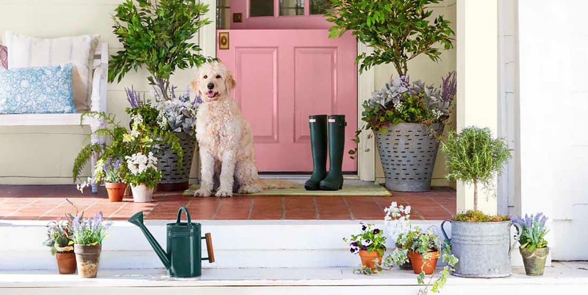 Some plants do better in containers—here's why