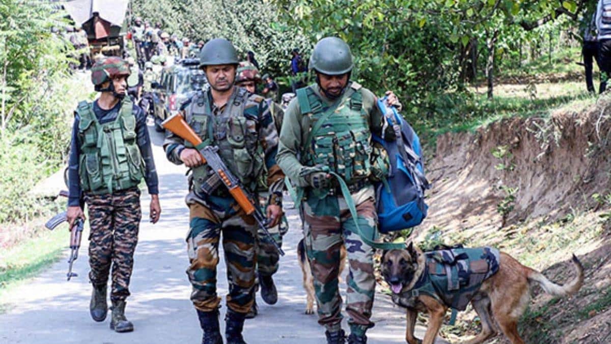 J&K terrorist storms home, uses family as shield before being neutralised