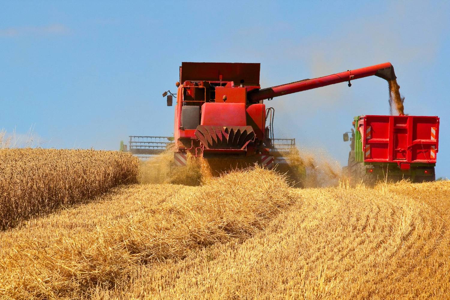 Agriculture market forecast: Top trends for potash and phosphate in 2026