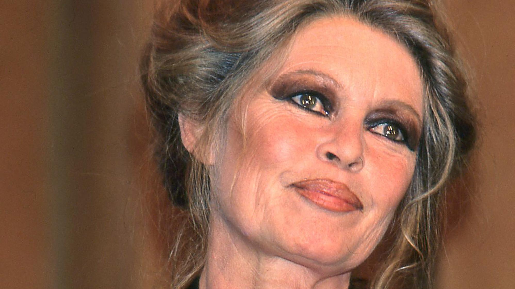 Brigitte Bardot a reçu Marine Le Pen à La Madrague : ce cadeau ...