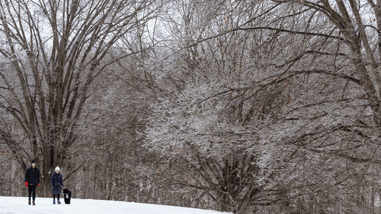 Extreme cold increases dangers of dementia wandering