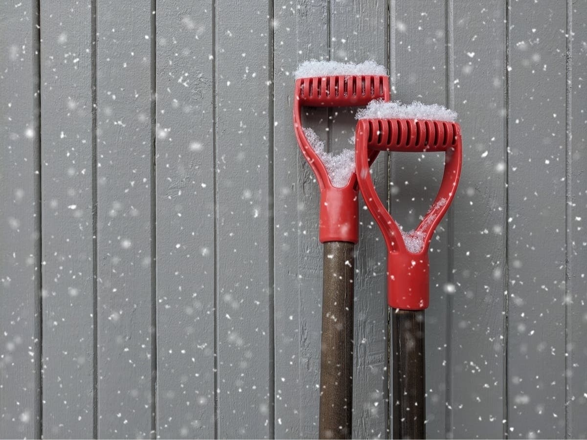 6 inches of snow possible as massive snowstorm clips Detroit area