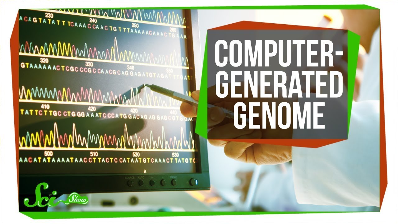 The first computer-generated bacterial genome | SciShow News