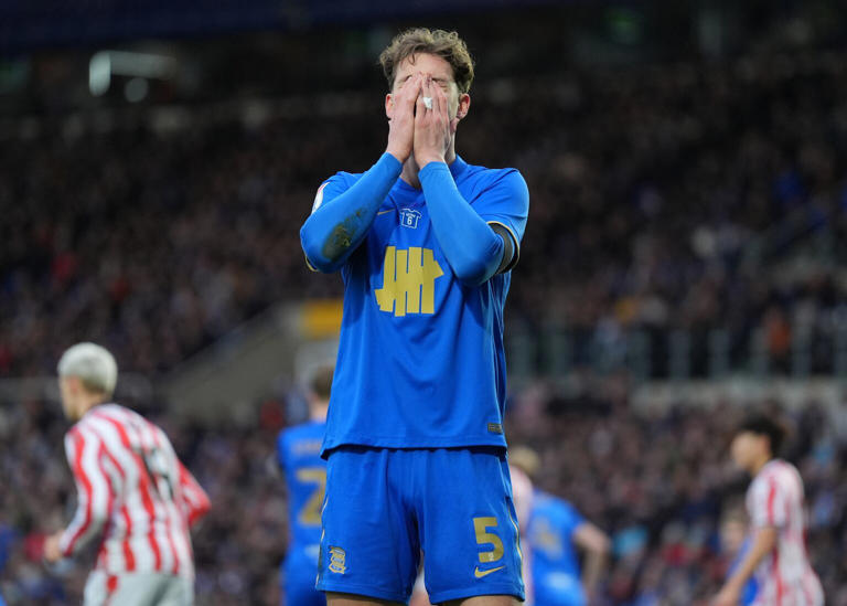 Stoke stay in play-off hunt thanks to Birmingham own goal