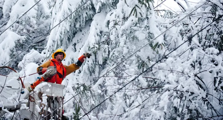 Midwest power grid operator warns of need to conserve electricity as ...