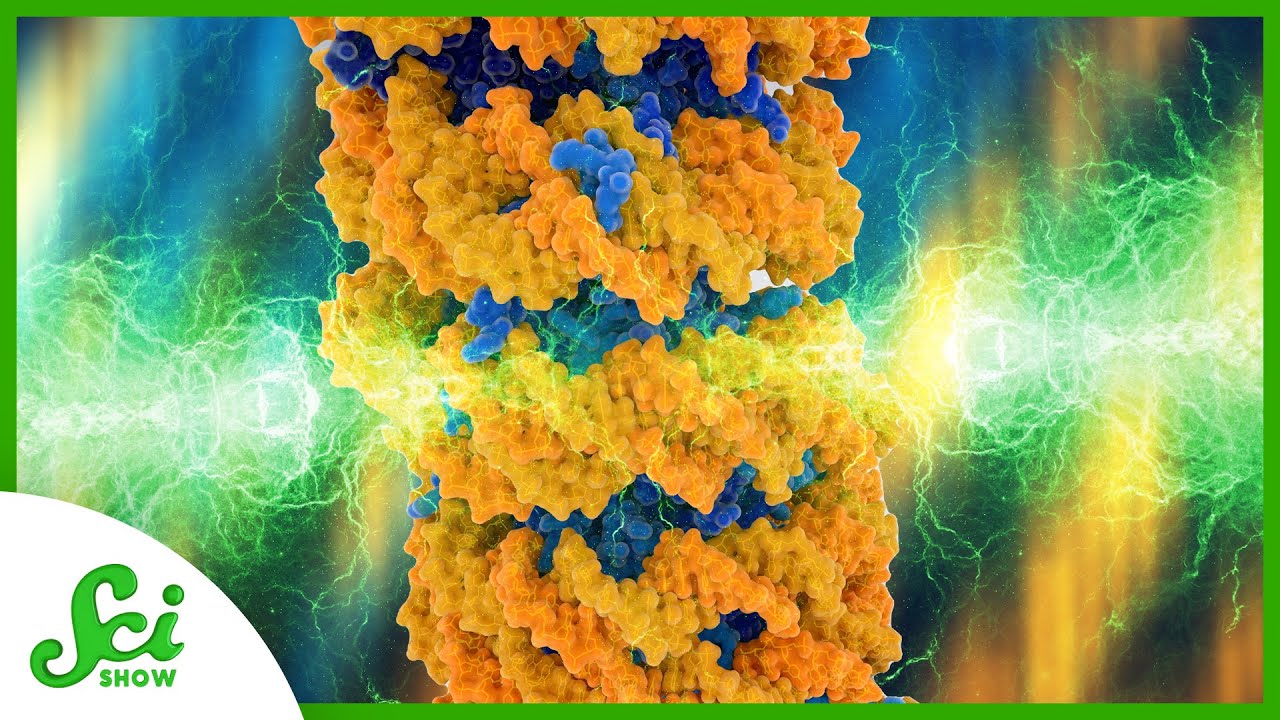 What the world’s smallest tweezers tell us about DNA