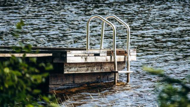 Researchers issue warning as harmful creatures are spotted off coast ...