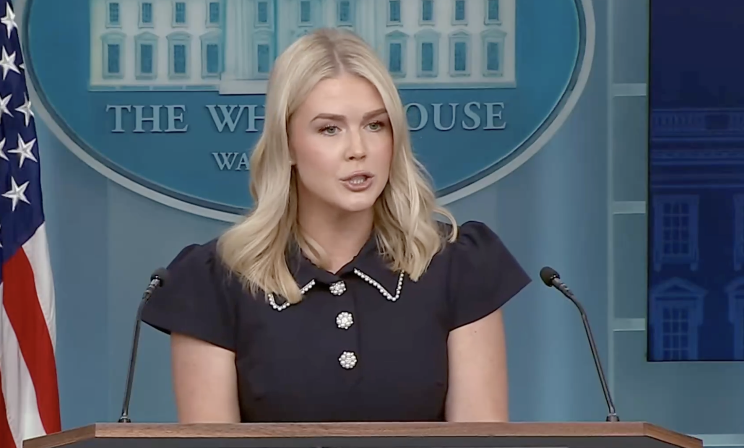 'I'm sure that there's more to that story': Karoline Leavitt trembles ...