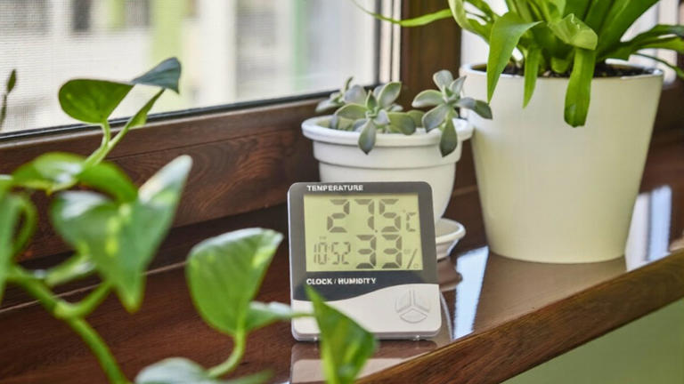 The simple humidity range that keeps your house feeling normal