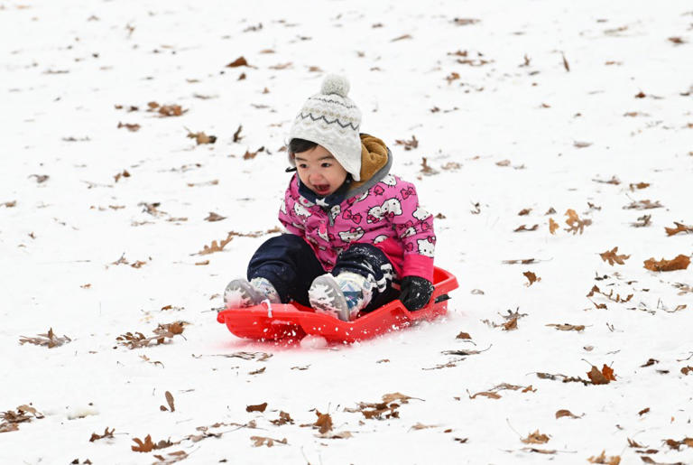 Snow-loving New Yorkers get creative with their sleds ahead of major ...