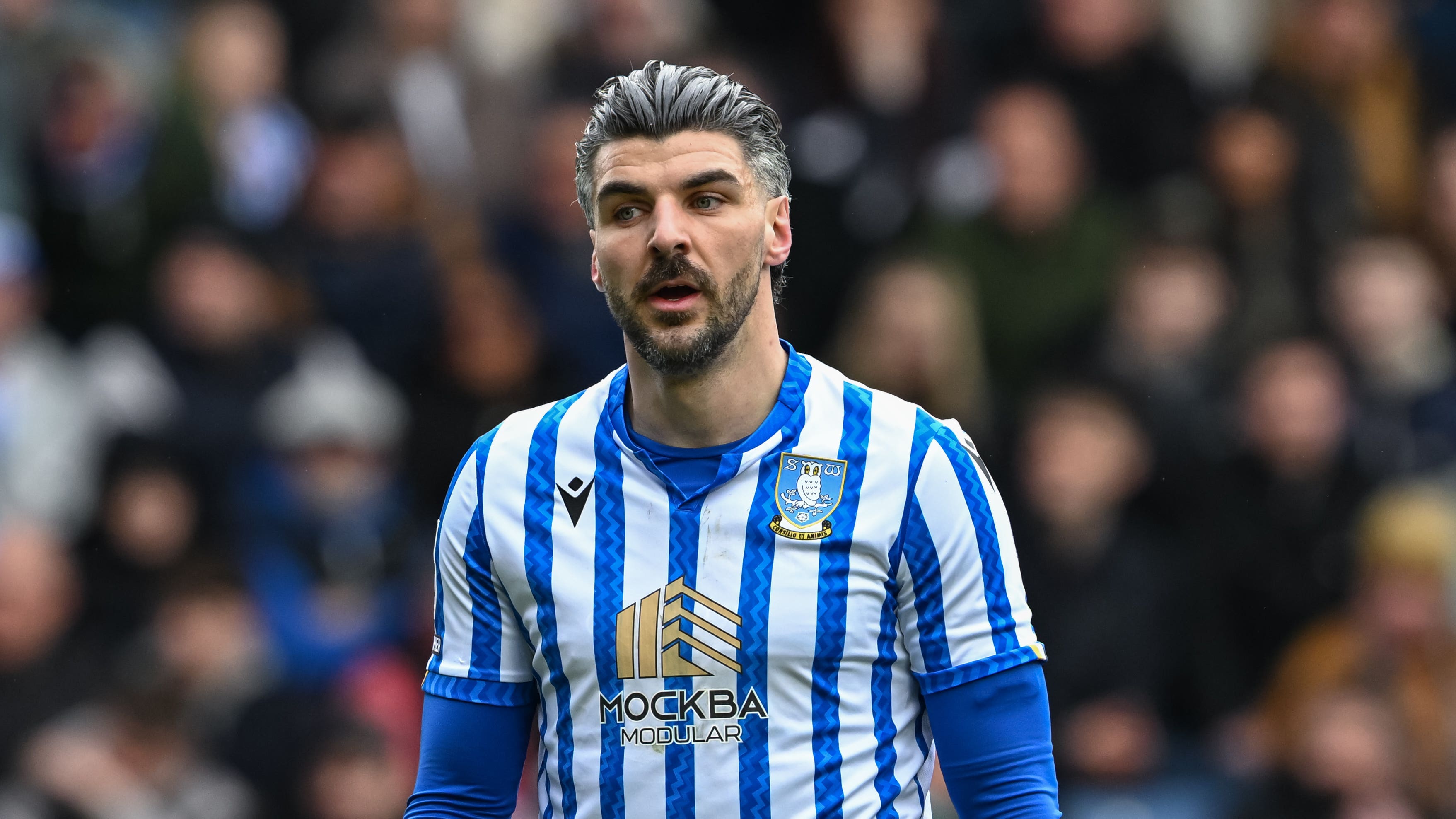 Callum Paterson hat-trick eases MK Dons to win over Shrewsbury