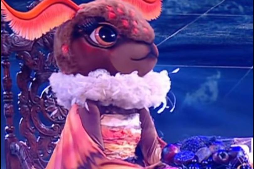 Masked Singer's Moth 'outed' by fans as 00s pop icon has Instagram post ...