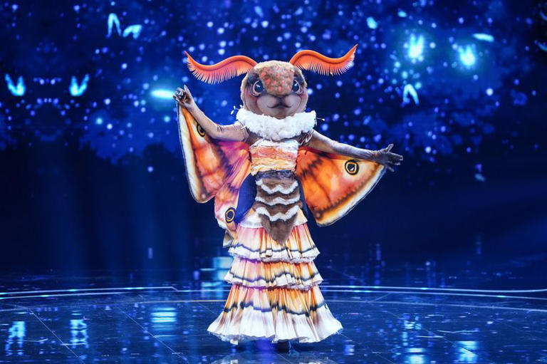 The Masked Singer fans recognise 'distinctive voice' and 'beautiful ...