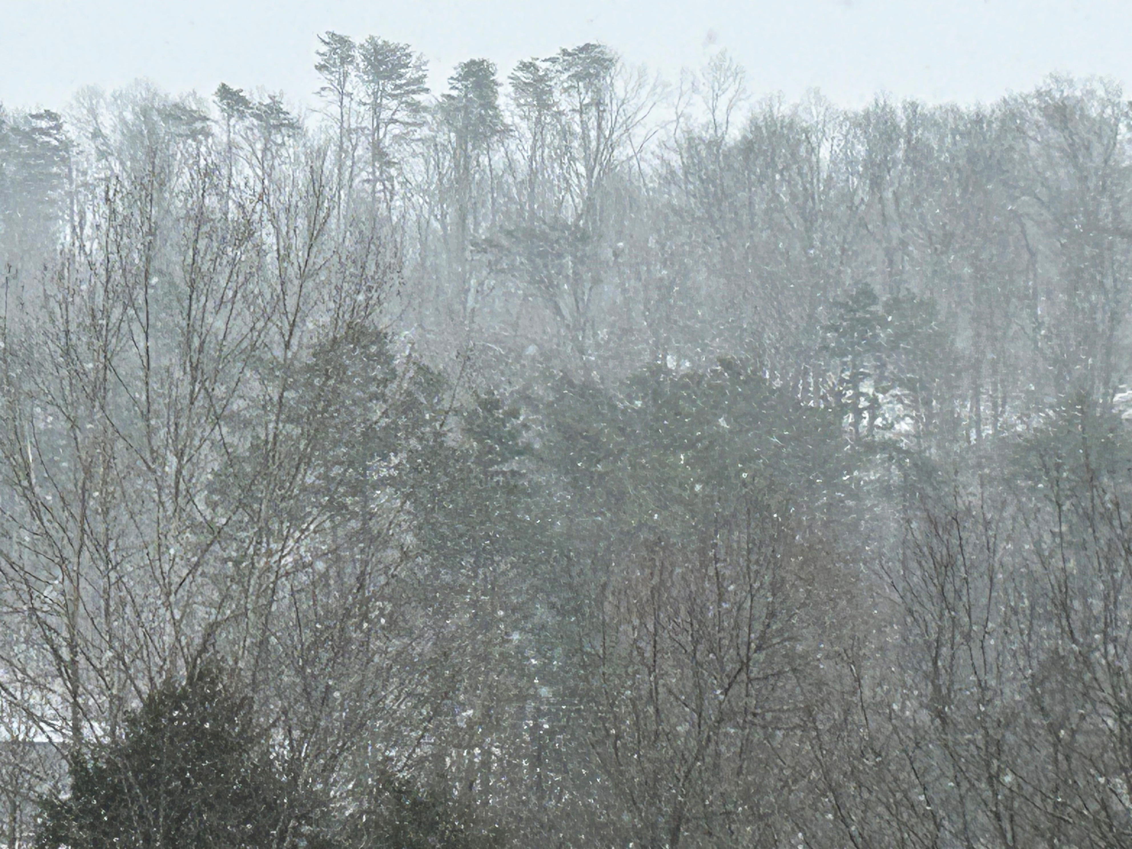 Blog: Less than 100 Oak Ridgers remain without power after outages ...