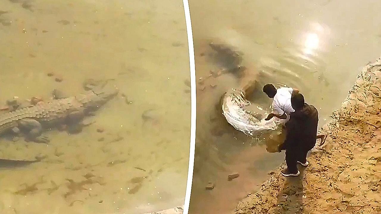 They almost didn't make it! Young people risk their lives by pulling ...