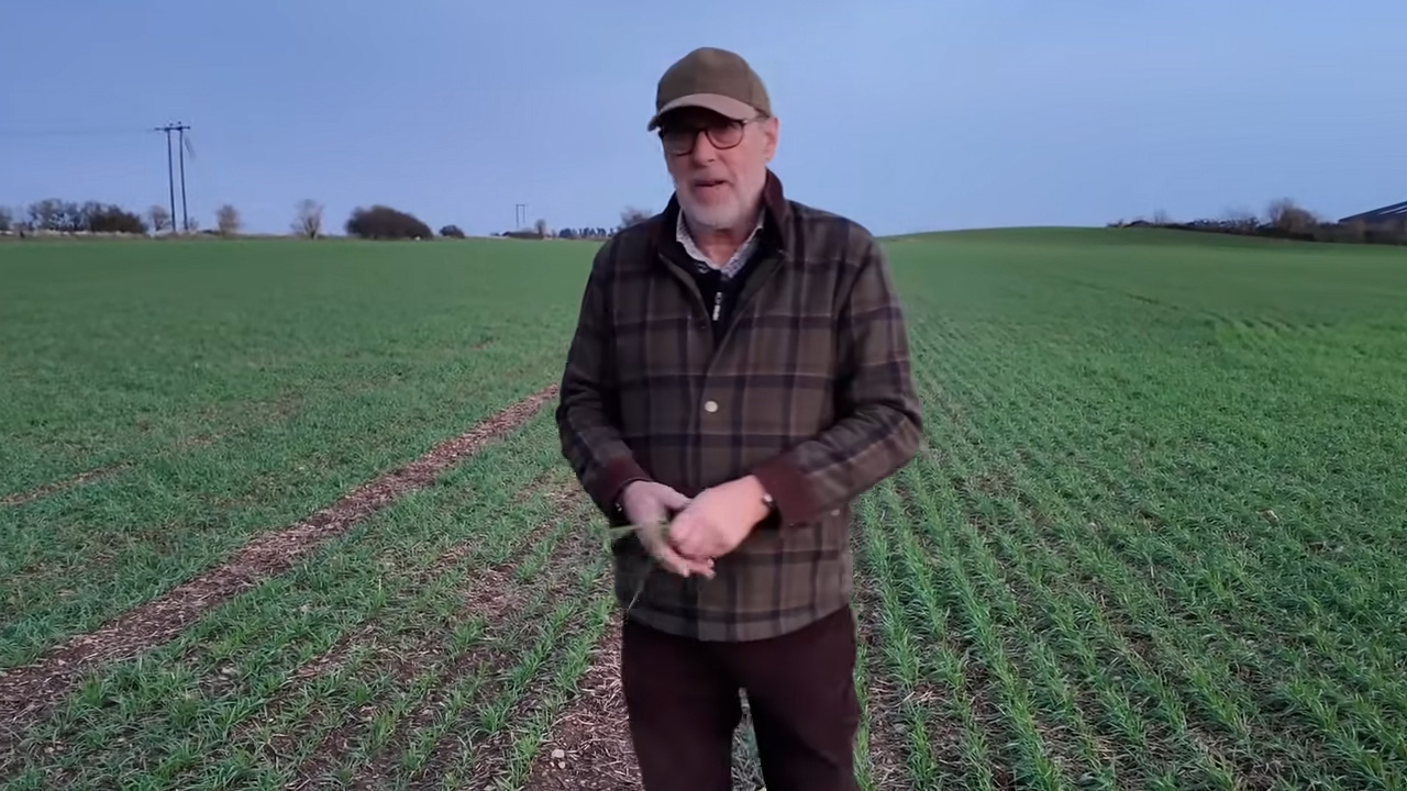 Rainy days bring lush growth to the farm