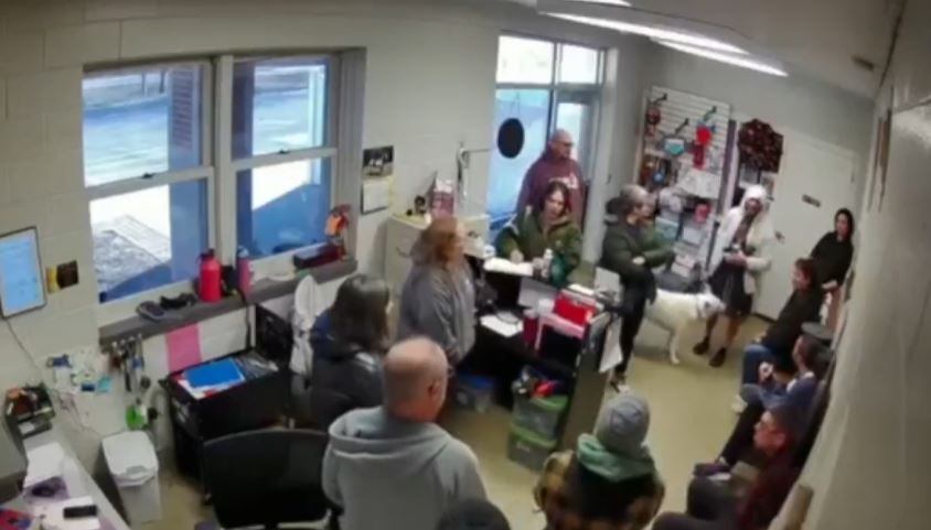 Blair animal shelter cancels fundraiser after alleged disrespect toward ...