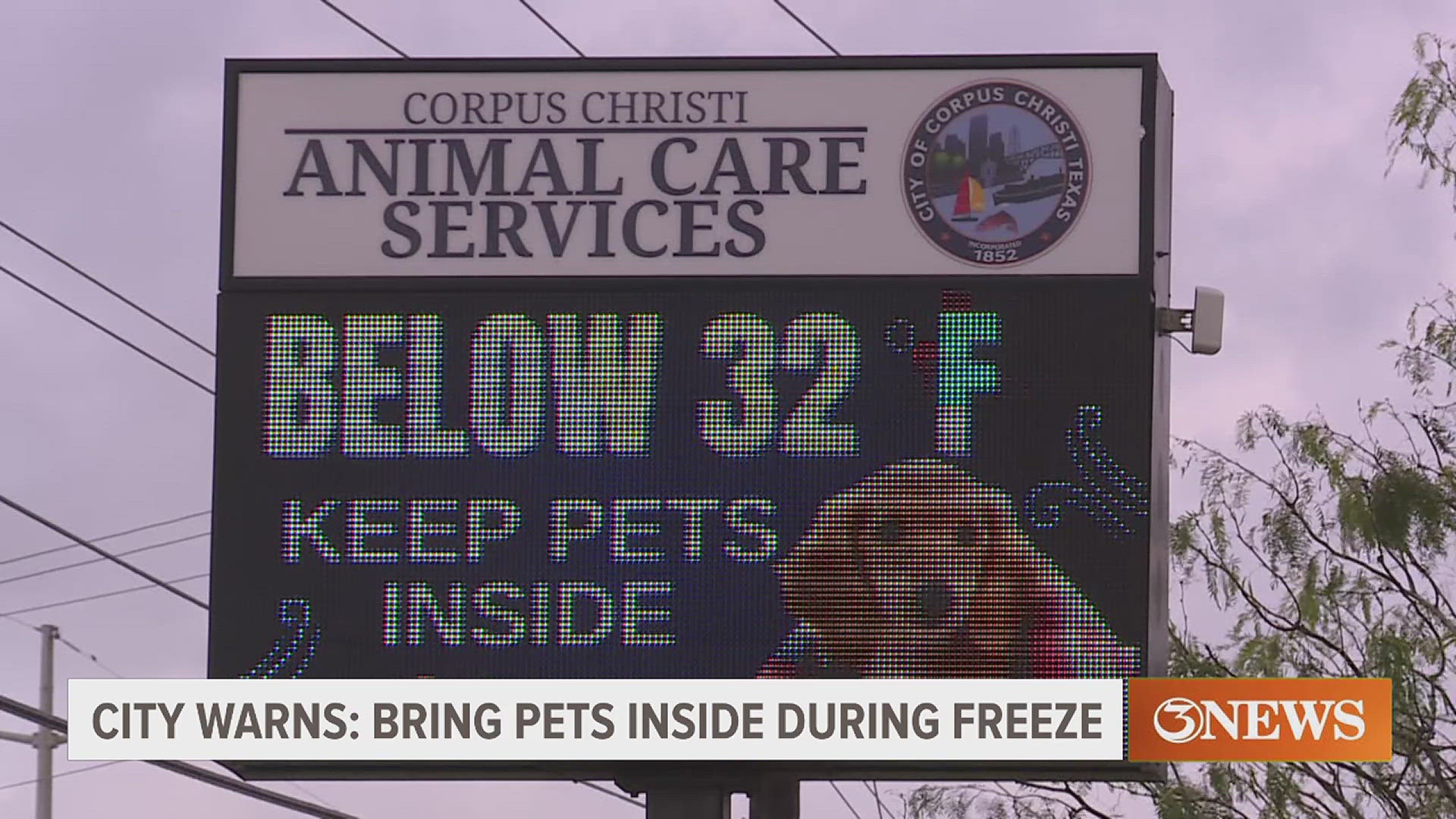 City warns: Bring pets inside during freeze