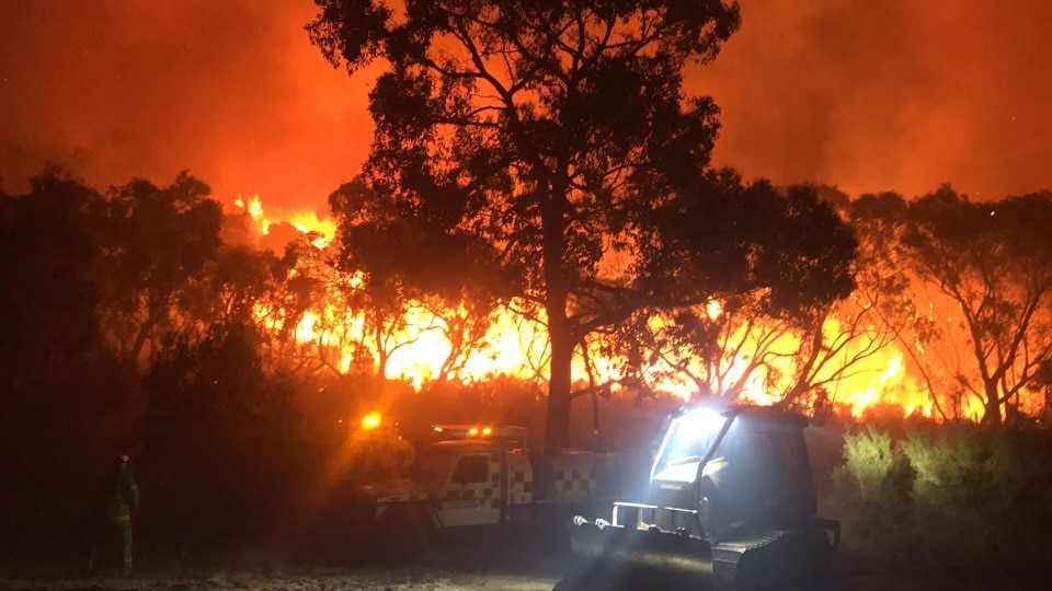 Out-of-control bushfire in Victoria's Otways grows as state faces ...