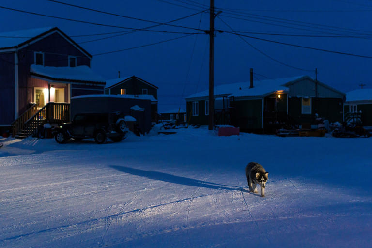 Trump’s Greenland gambit exposes Canada’s Arctic vulnerability