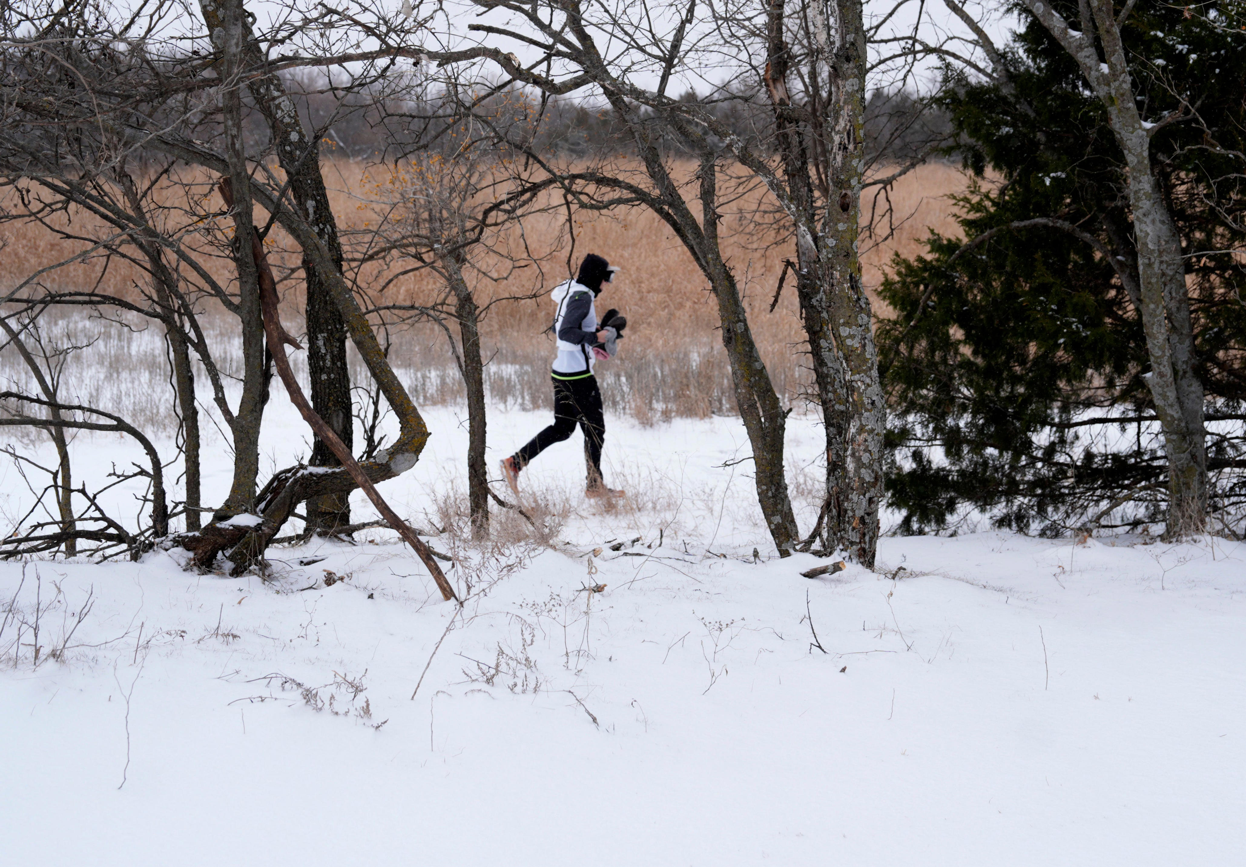 Do trees explode in cold weather? Sort of. Here's what's really happening.