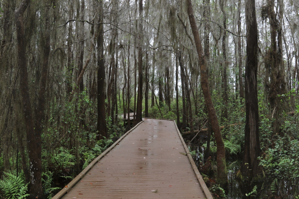 13 Georgia nature getaways with marsh trails and cool shade