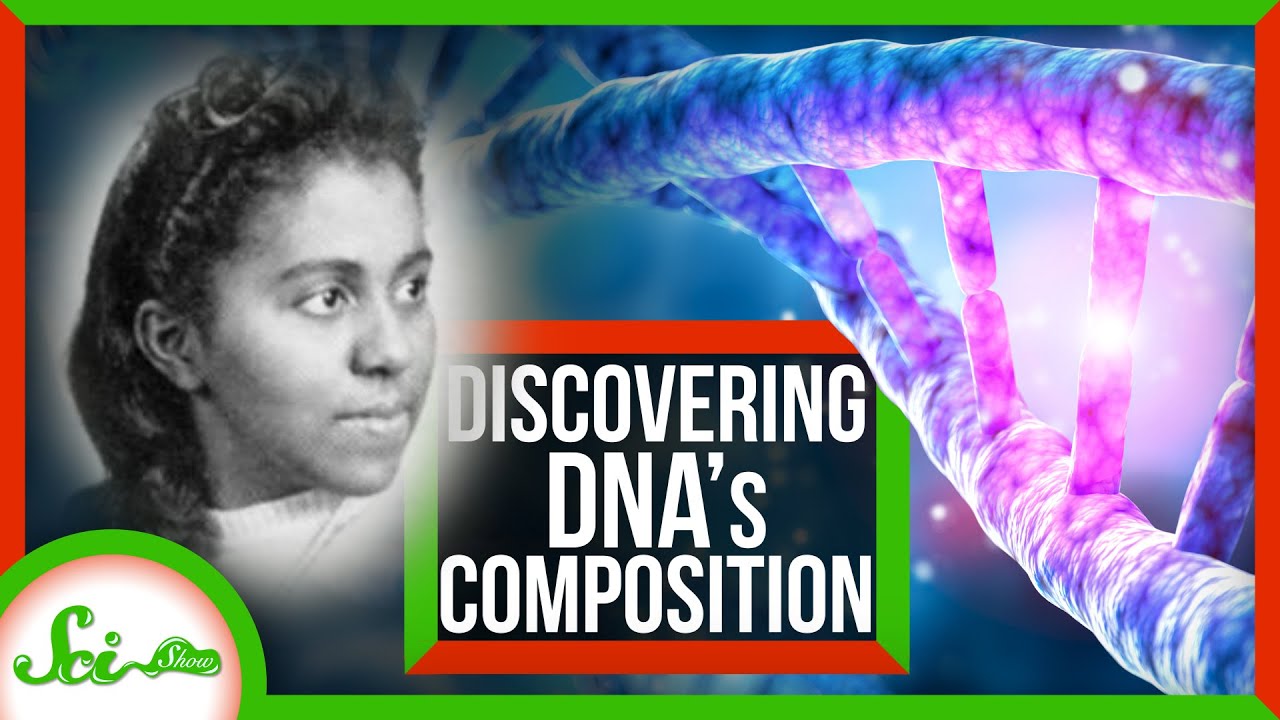 The unsung scientist behind the building blocks of DNA | Marie M Daly