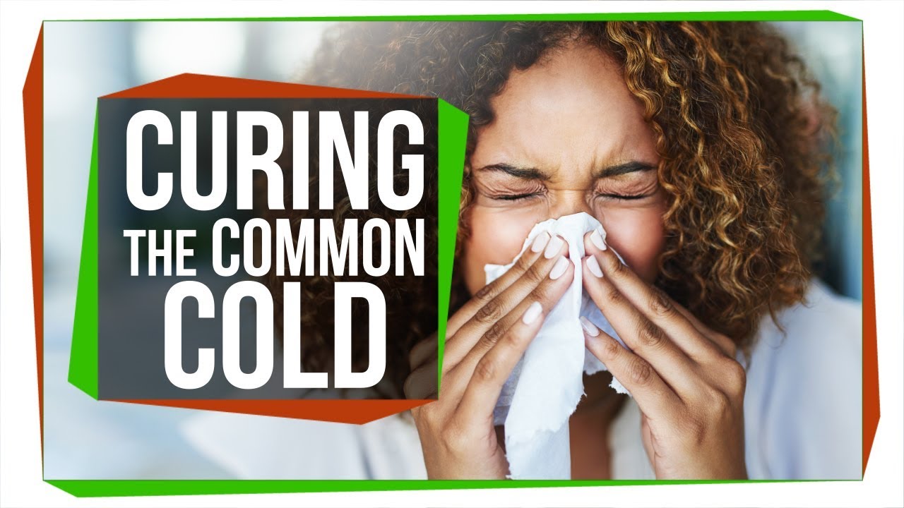 Will there ever be a cure for the common cold?