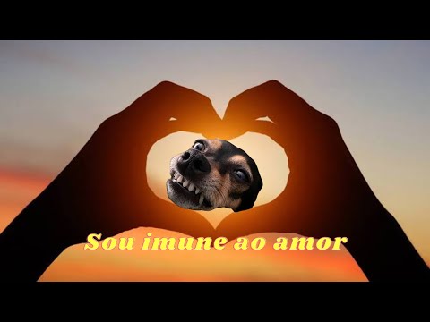 Bica responde: conselhos de relacionamento engraçados do cachorro mais ...