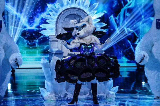 Arctic fox unmasked on The Masked Singer – but who was under the mask?