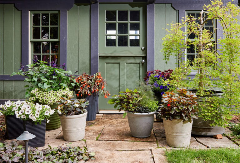 14 best low-maintenance outdoor potted plants for sun or shade