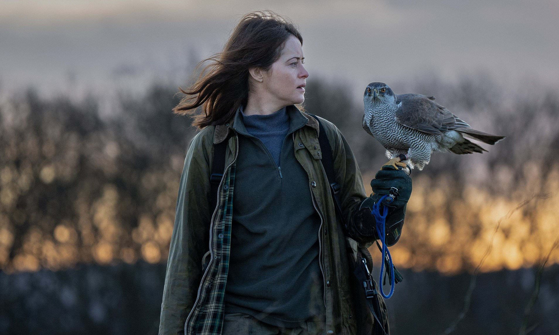 H is for Hawk review: Claire Foy is superb in this soaring study of ...