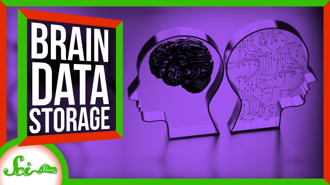 How much data can our brains store?