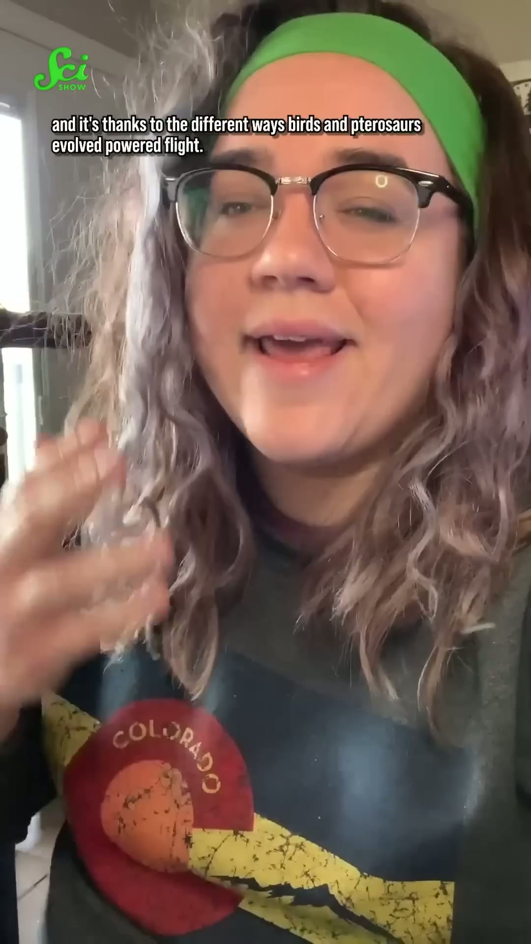 How did pterosaurs get off the ground? #shorts #science #SciShow