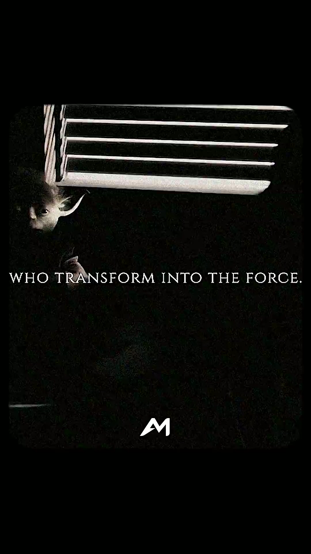 Train yourself to let go of everything you fear to lose